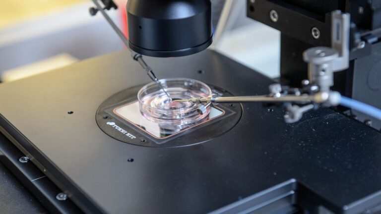 Frozen embryo transfer (FET) - Cryos IVF Clinic in Cyprus